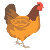 January 12, 2026 Pancha Pakshi Activities for New Delhi, NCT, India