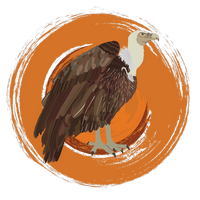 October 08, 2025 Pancha Pakshi Activities for New Delhi, NCT, India