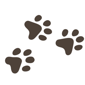 June 09, 2023 Pancha Pakshi Activities for Redmond, Washington, United ...