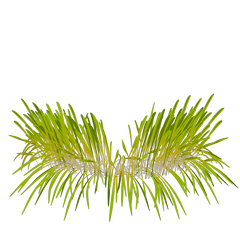 -6495 Shardiya Navratri Calendar for New Delhi, NCT, India