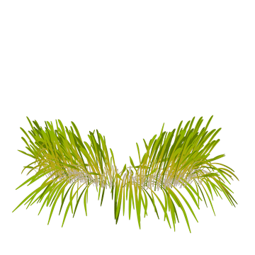 -6491 Shardiya Navratri Calendar for New Delhi, NCT, India