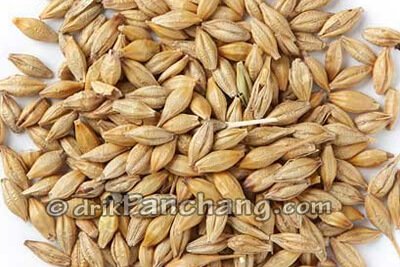 Sapta Dhanya | Seven Grains for Navratri | 7 Navratri Grains