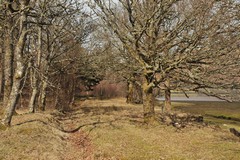 Indian Seasons, Indian Ritus Start Date and Timings for Boydton ...