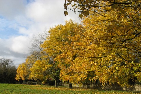 Indian Seasons, Indian Ritus Start Date and Timings for New Delhi, NCT ...